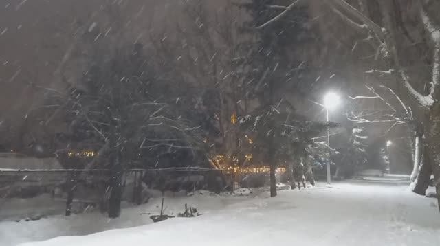 Снегопад в Калининграде.