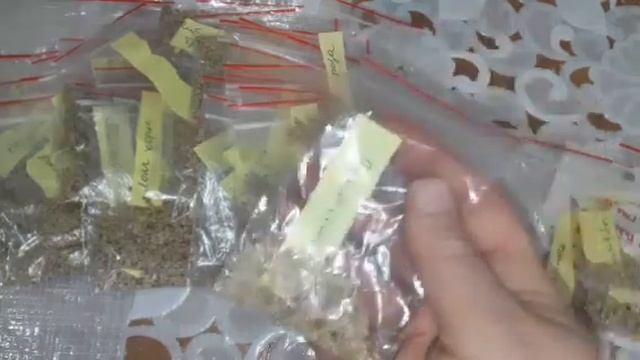 Коллекционные семена томатов.