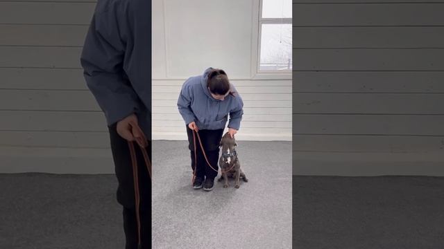 Мартин на тренировке