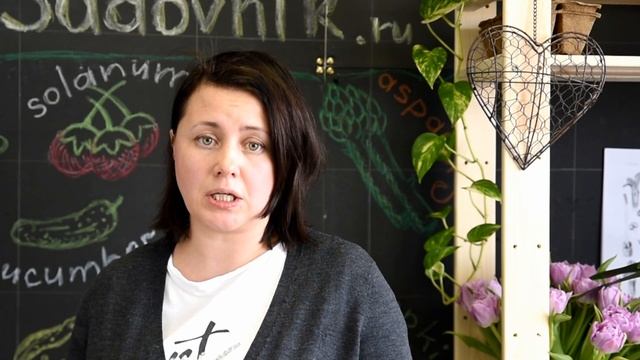 Болезни и вредители яблони и груши