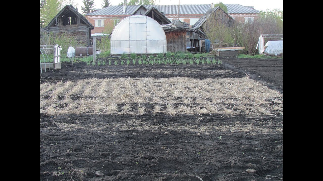 15.05.2021 ГОДА. РАБОТЫ В ОГОРОДЕ. ОБЗОР ПРОДЕЛАННЫХ РАБОТ.