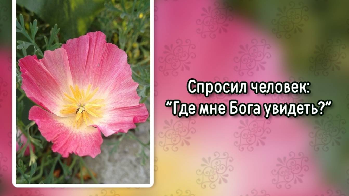 Спросил человек "Где мне Бога увидеть?"(+)