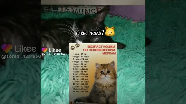 Like_7194005575928332009.mp4