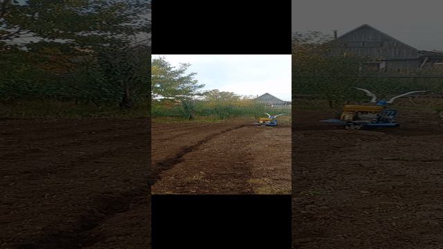 ФРЕЗЫ КАРАКАТИЦЫ В РАБОТЕ!Идут сами!Ооочень глубокая вспашка!