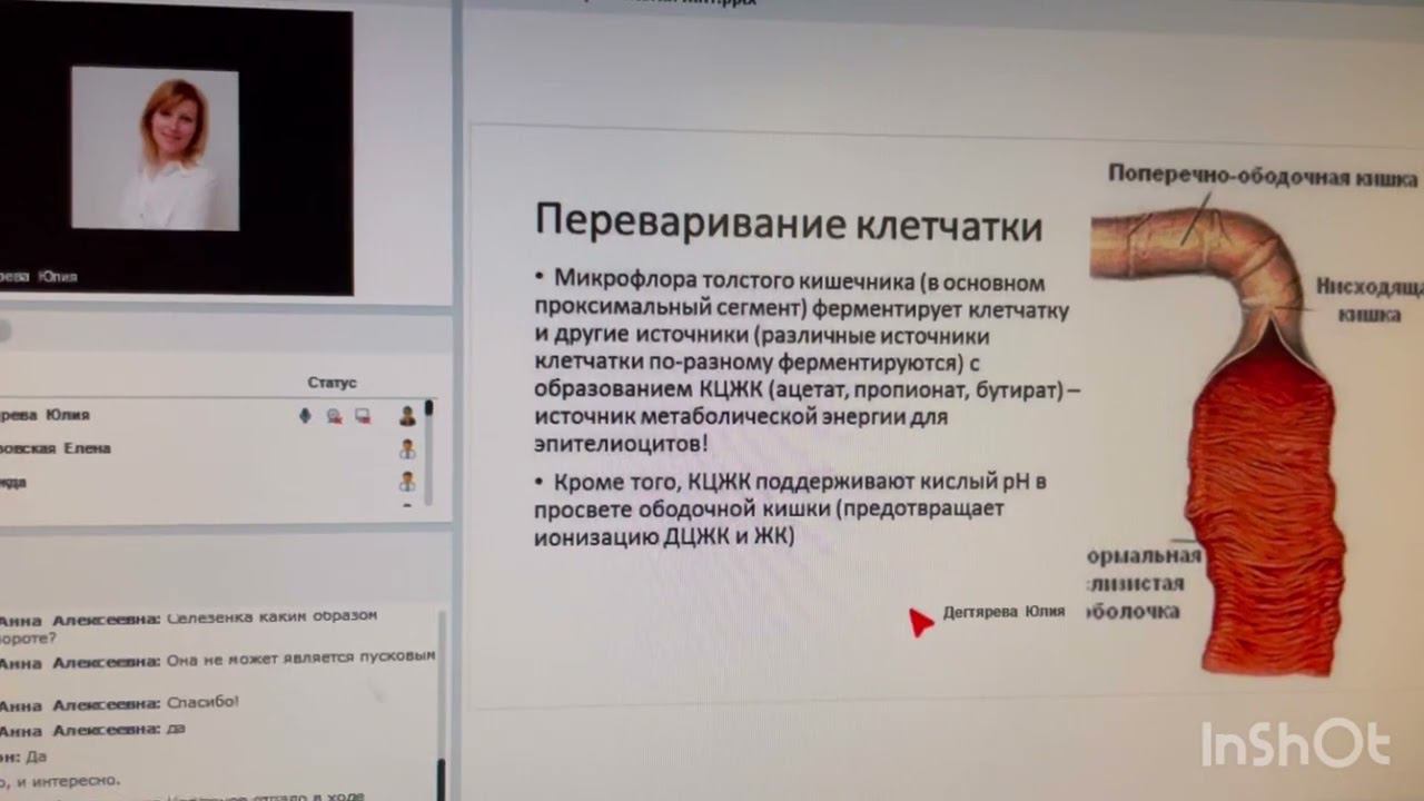 Овощи и фрукты в рационе: да! Мнение ведущего гастроэнтеролога.