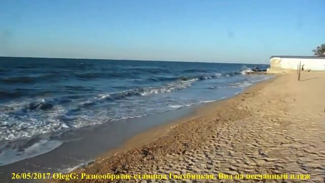 Разнообразие станицы Голубицкая 26.05.2017