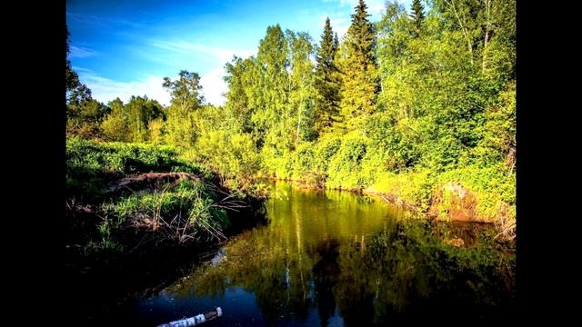 Библия. 39-10. Книга пророка Осии (10). Израиль - ветвистый виноград.