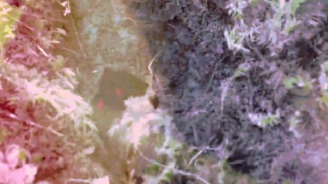 Реджина и Робин -  Перемирие