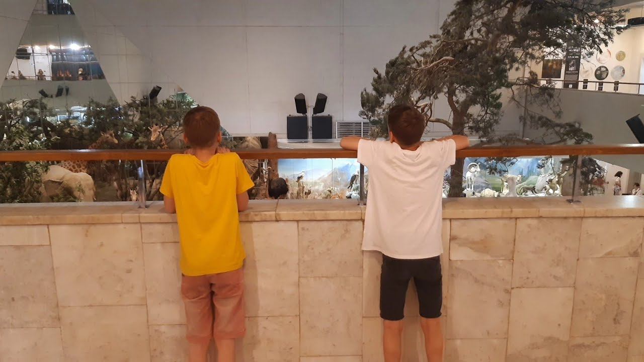 Изучаем эволюцию. Дарвиновский музей