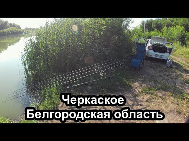 Рыбалка Черкаское