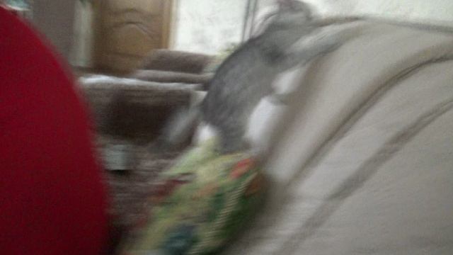 до беруя до тебя