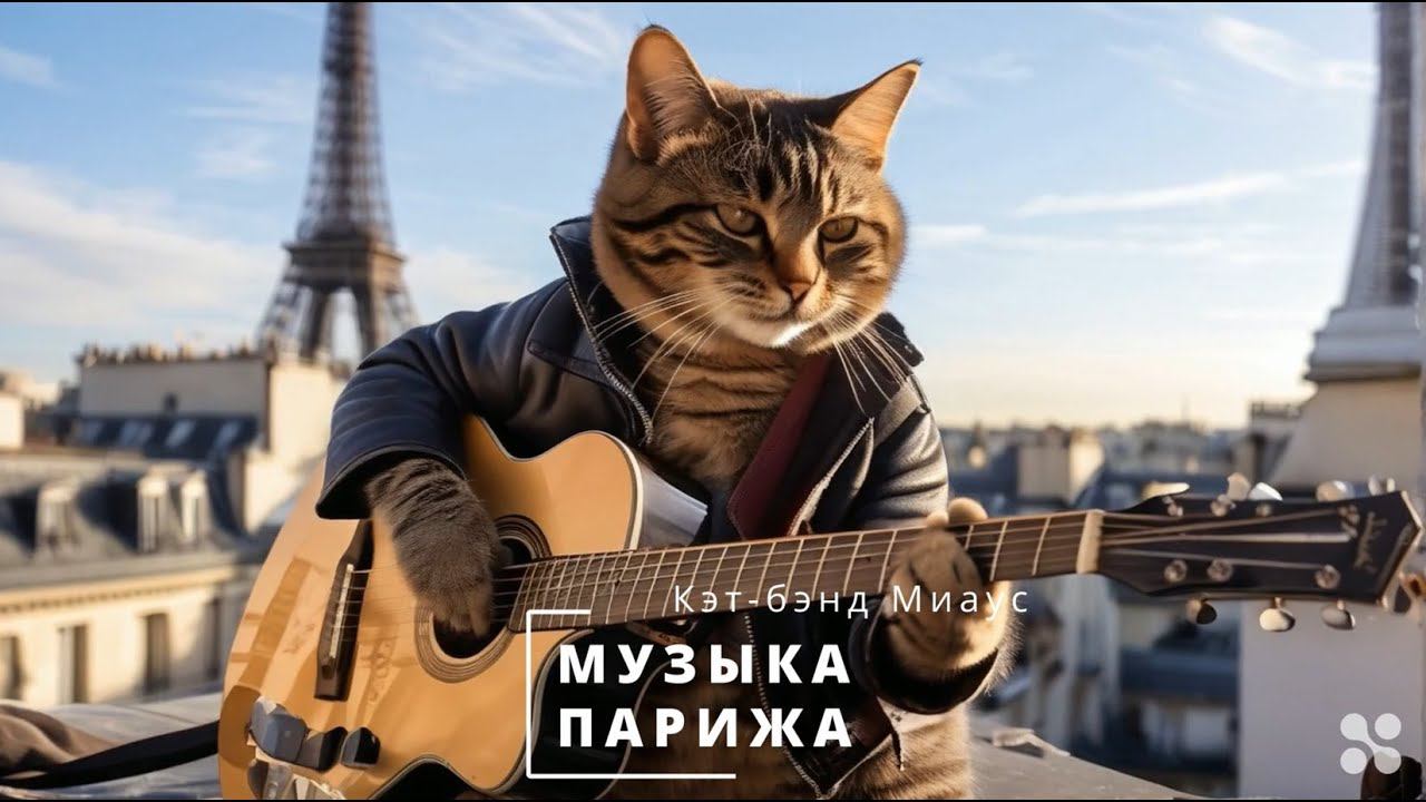cat band