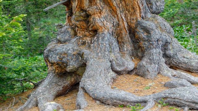 Озеро Медвежье Ергаки 2023г