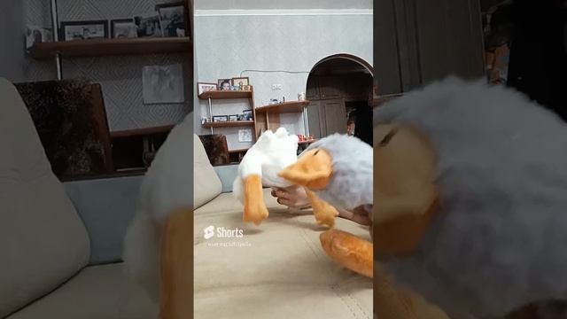 Гусь обнимусь. Новогодние гуси пляшут.