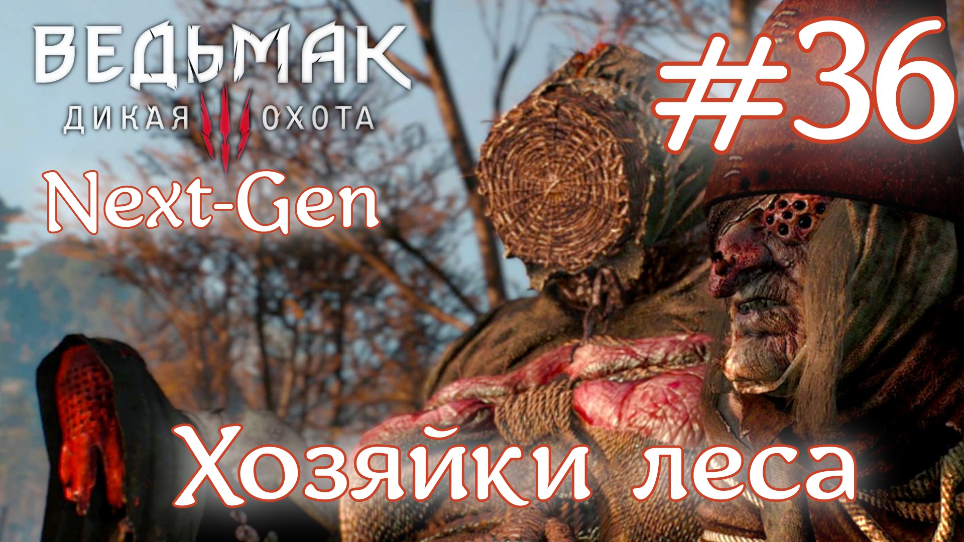 Хозяйки леса • Ведьмак 3: Дикая Охота • Новая игра + • На смерть#36