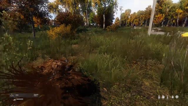 Истории снайпера DayZ on PS 4 Mushroomskillazz