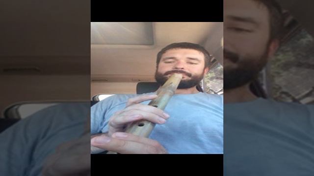 флейта Сякухати Си из корневища