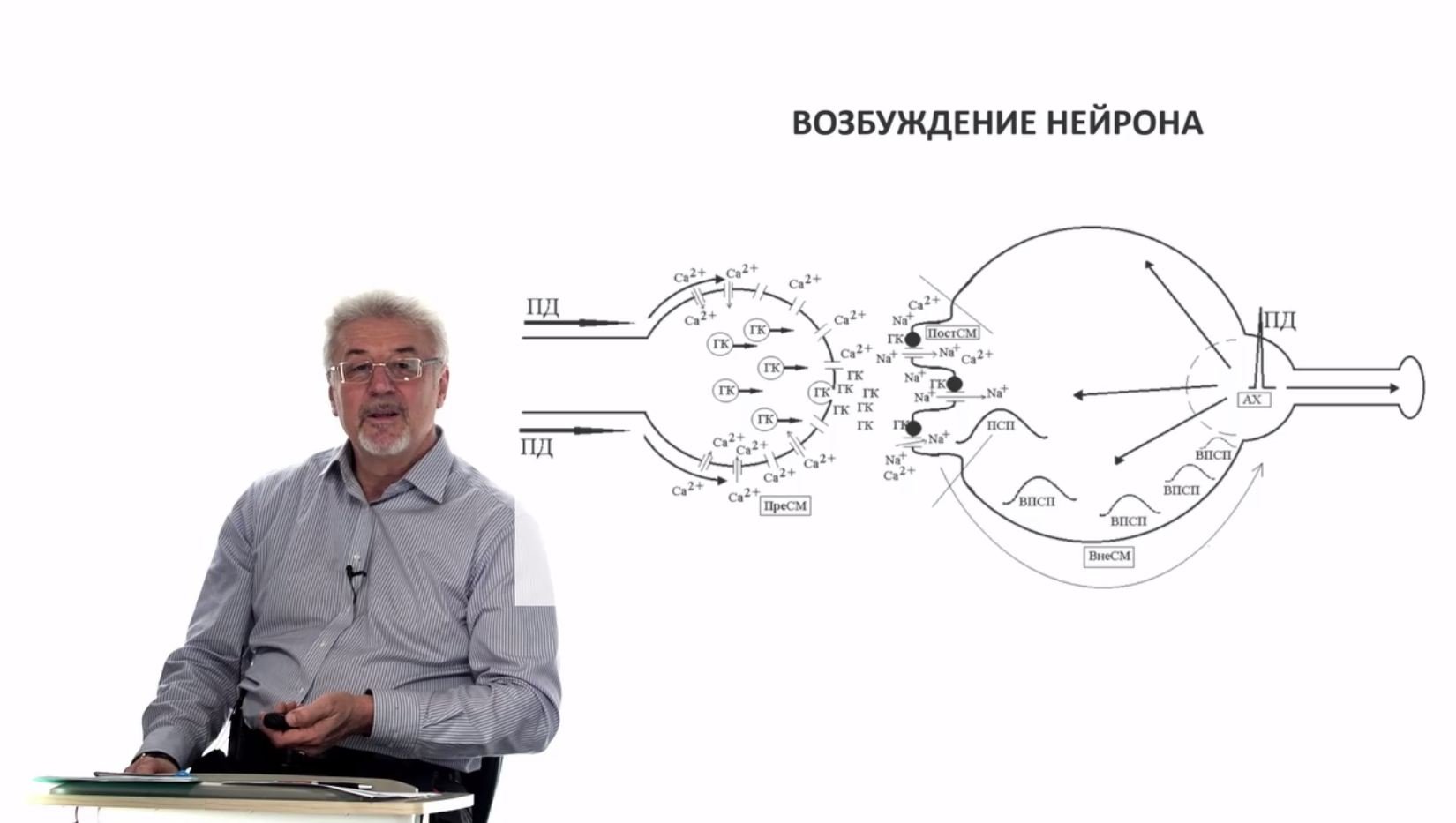 Евсеев А.В. Нормальная физиология. Лекция №10. Механизмы возбуждения и торможения нейрона. 2023
