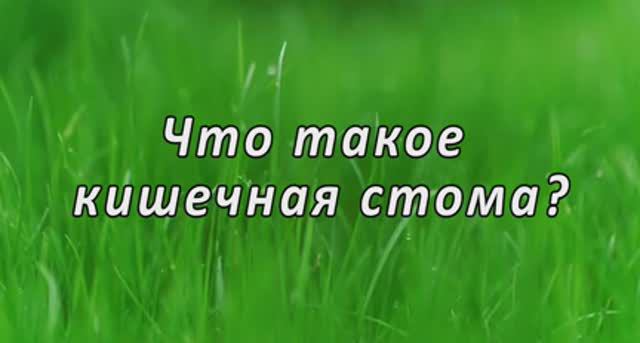 Что такое кишечная стома?