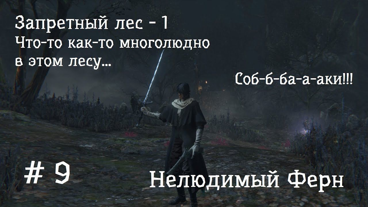 9. Bloodborne. Нелюдимый Ферн. Запретный лес-1. Неприветливое местное население