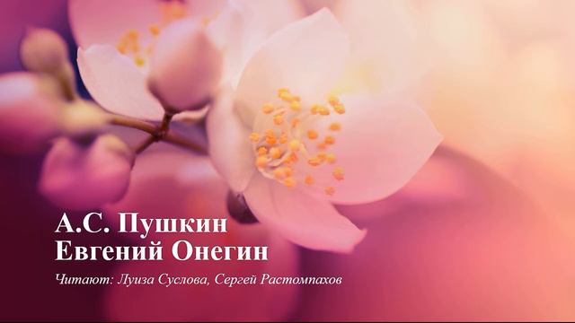 А.С. Пушкин _Евгений Онегин_ 1 глава