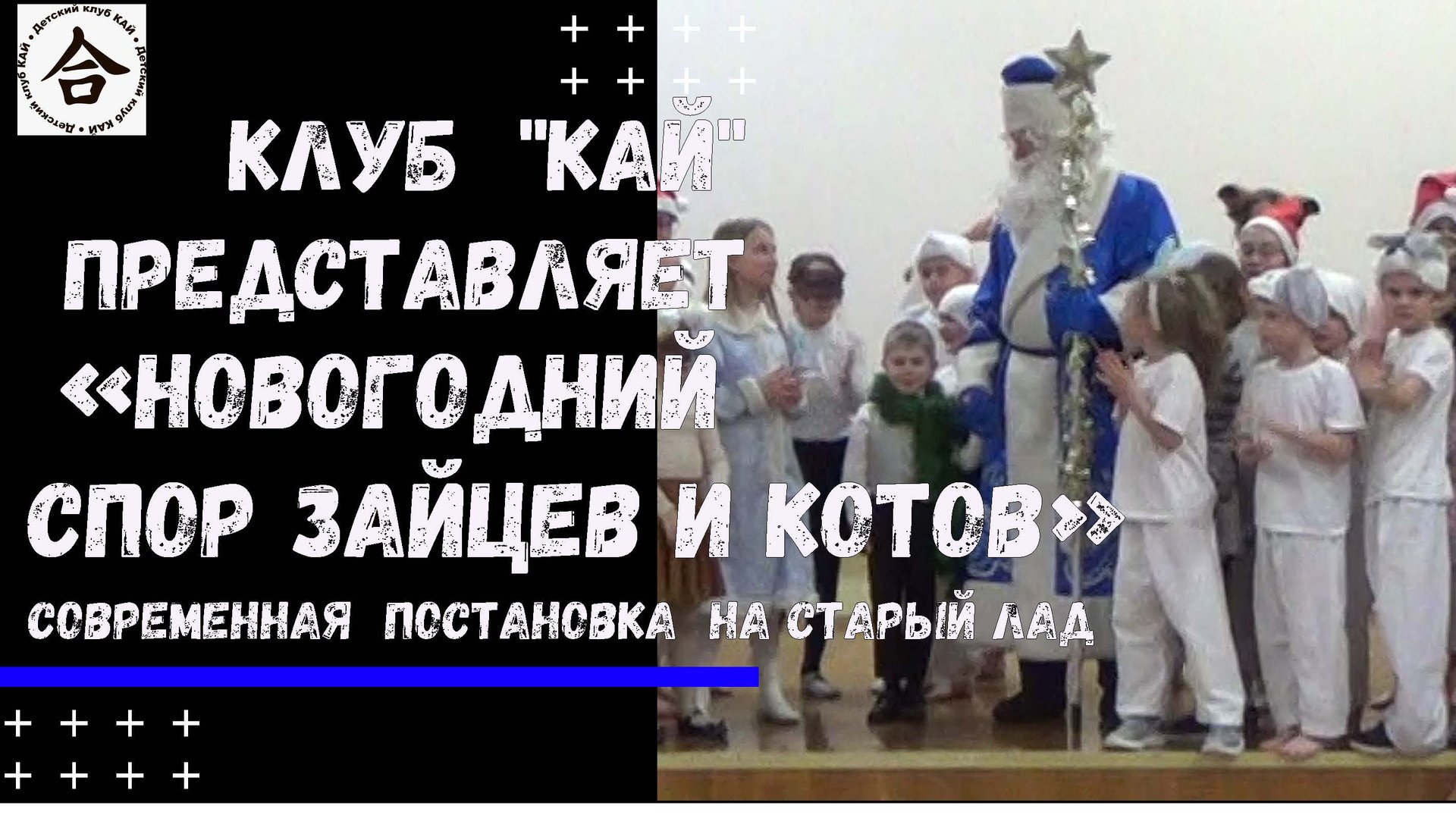 Новогодний спор зайцев и котов 2022 2023