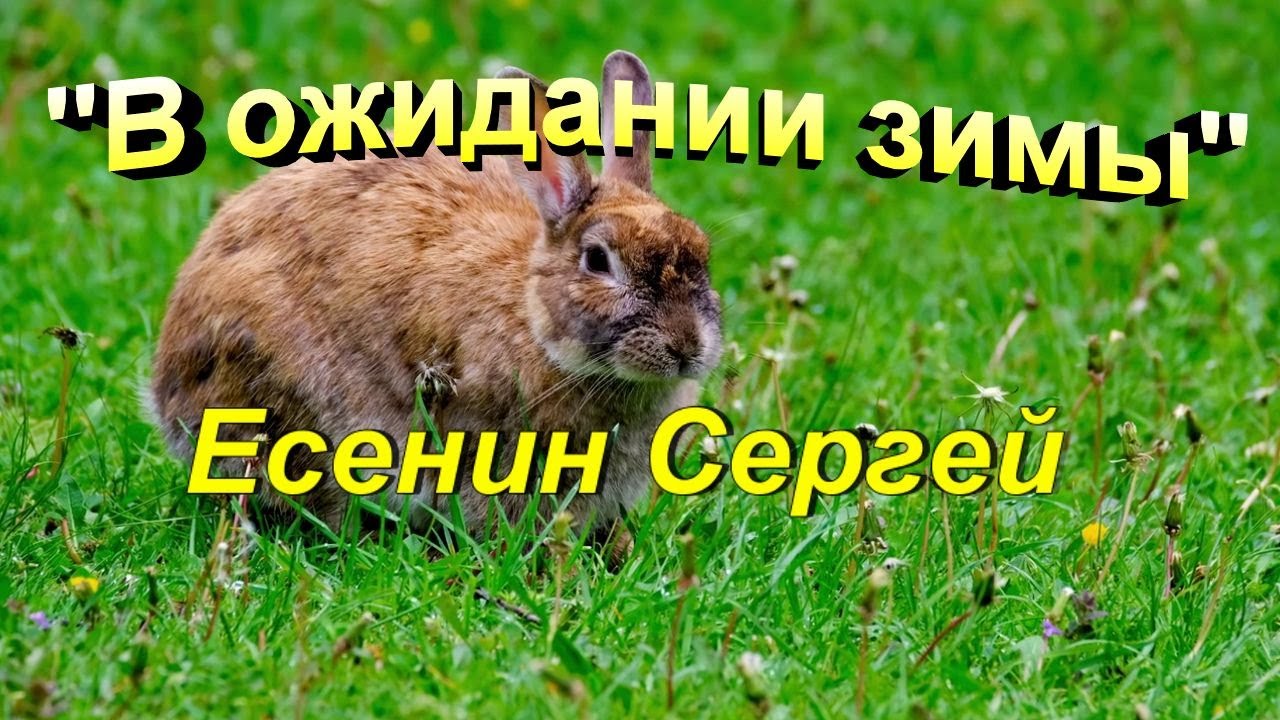 Стихотворение "В ожидании зимы" Есенин Сергей