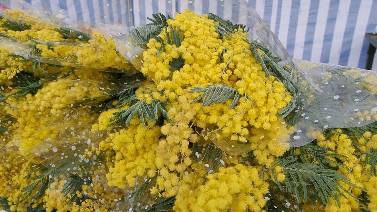 Микрозарисовки к 8 марта