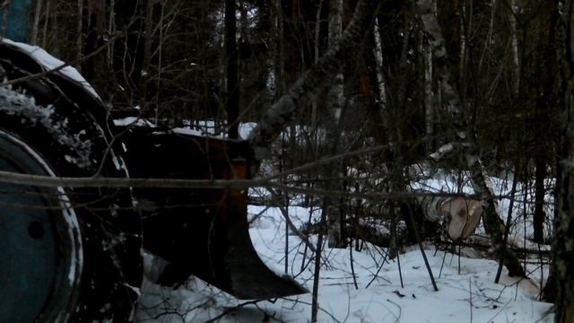 За дровиной.