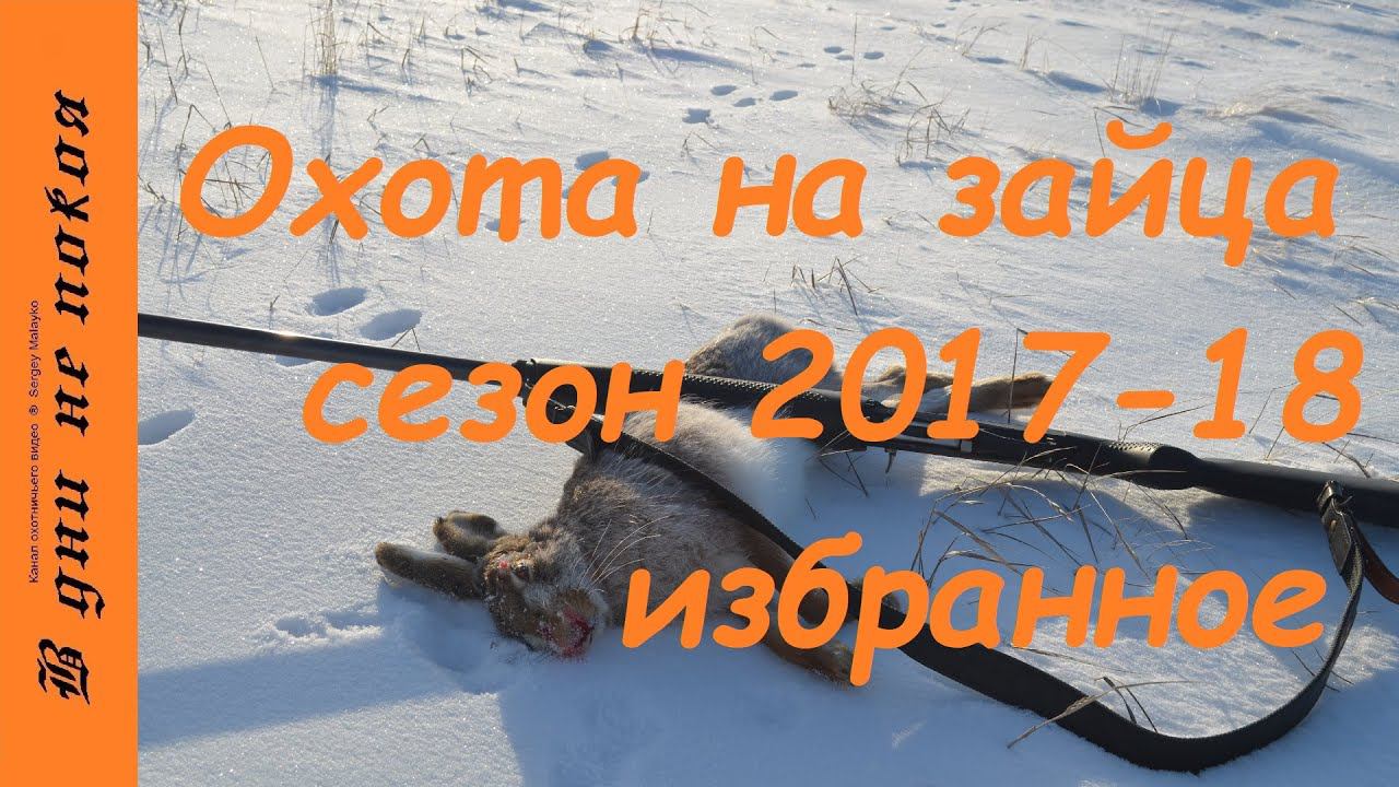 Охота на зайца. Сезон 2017-18. Избранное. 18+