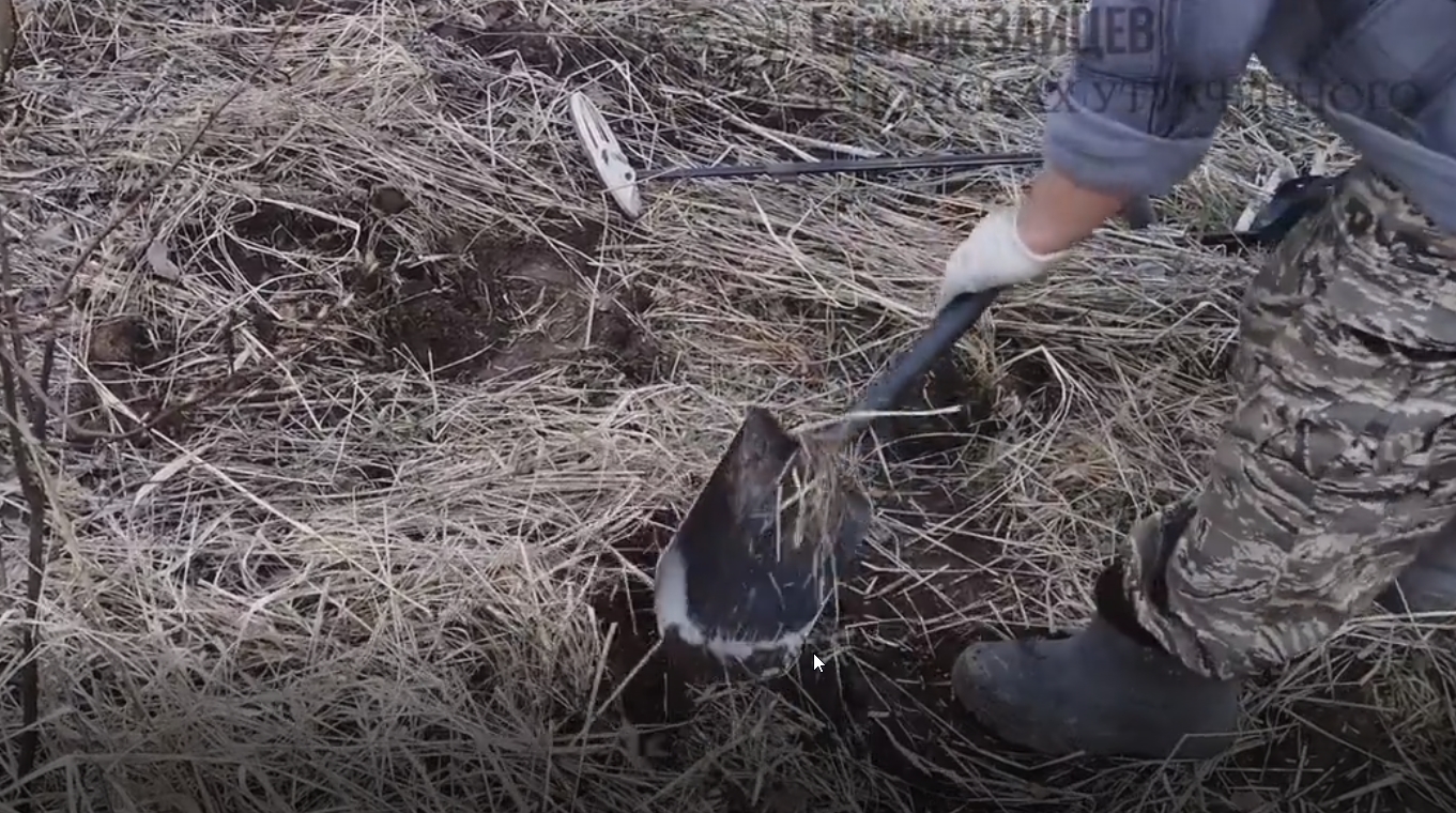 Поиск железных  грибов