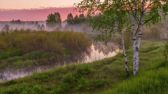 ЗЕМЛЯ МАТУШКА №38