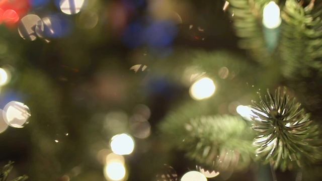 Для праздничного настроения, АСМР.?☃️@https://www.videvo.net/profile/Beachfront