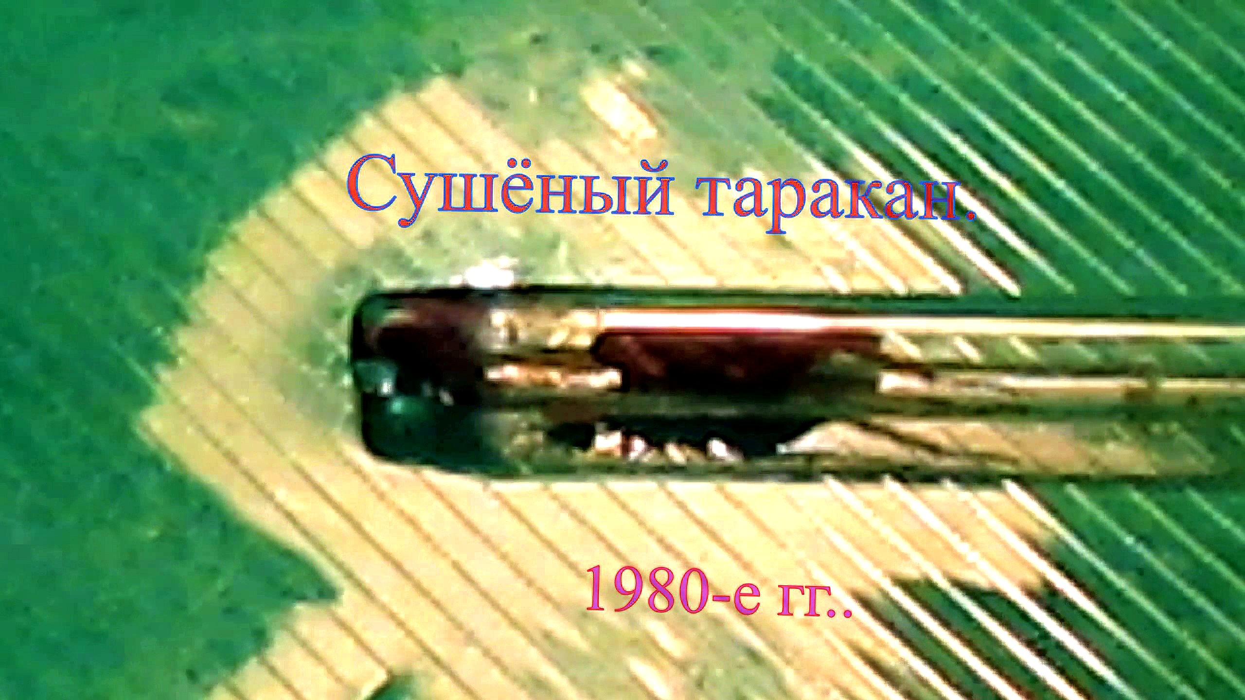 Сушёный таракан. 1980-е гг..