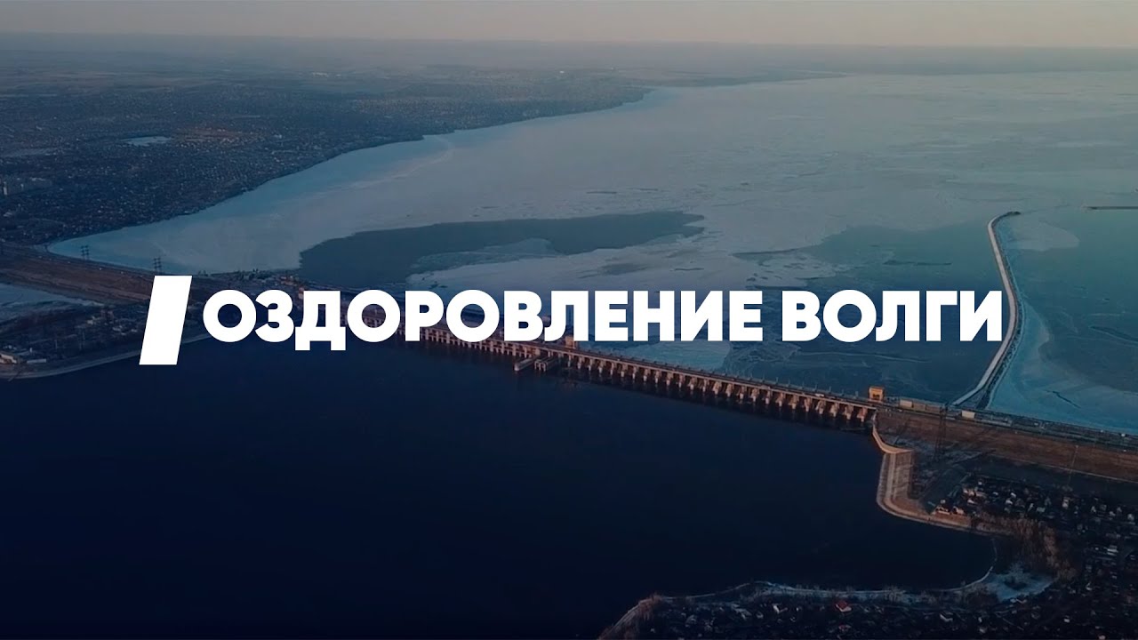 Оздоровление Волги: кто заботится об экологии великой реки