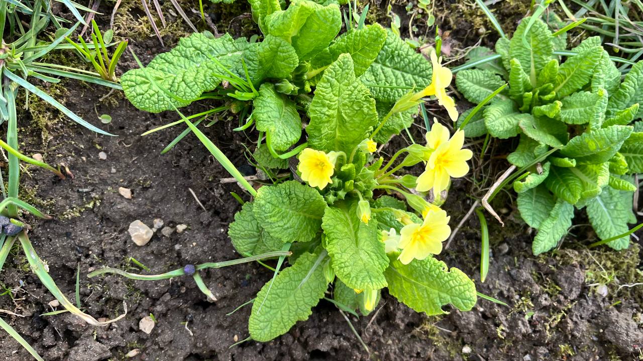 Тёплый апрель.