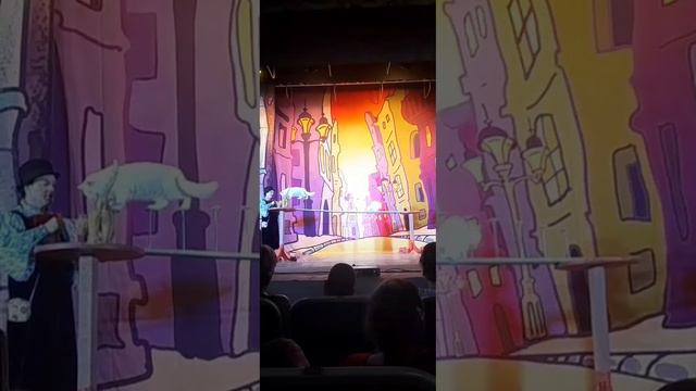 Волшебные кошки.