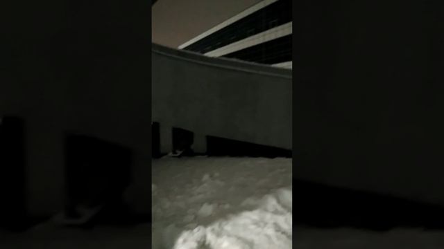 28 Ноября. Начало необычного зимнего экстримального периода.