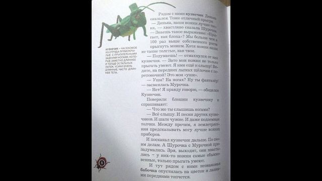 Кравченко Илья - Буктрейлер Эколог.приключения двух весёлых блошек.avi