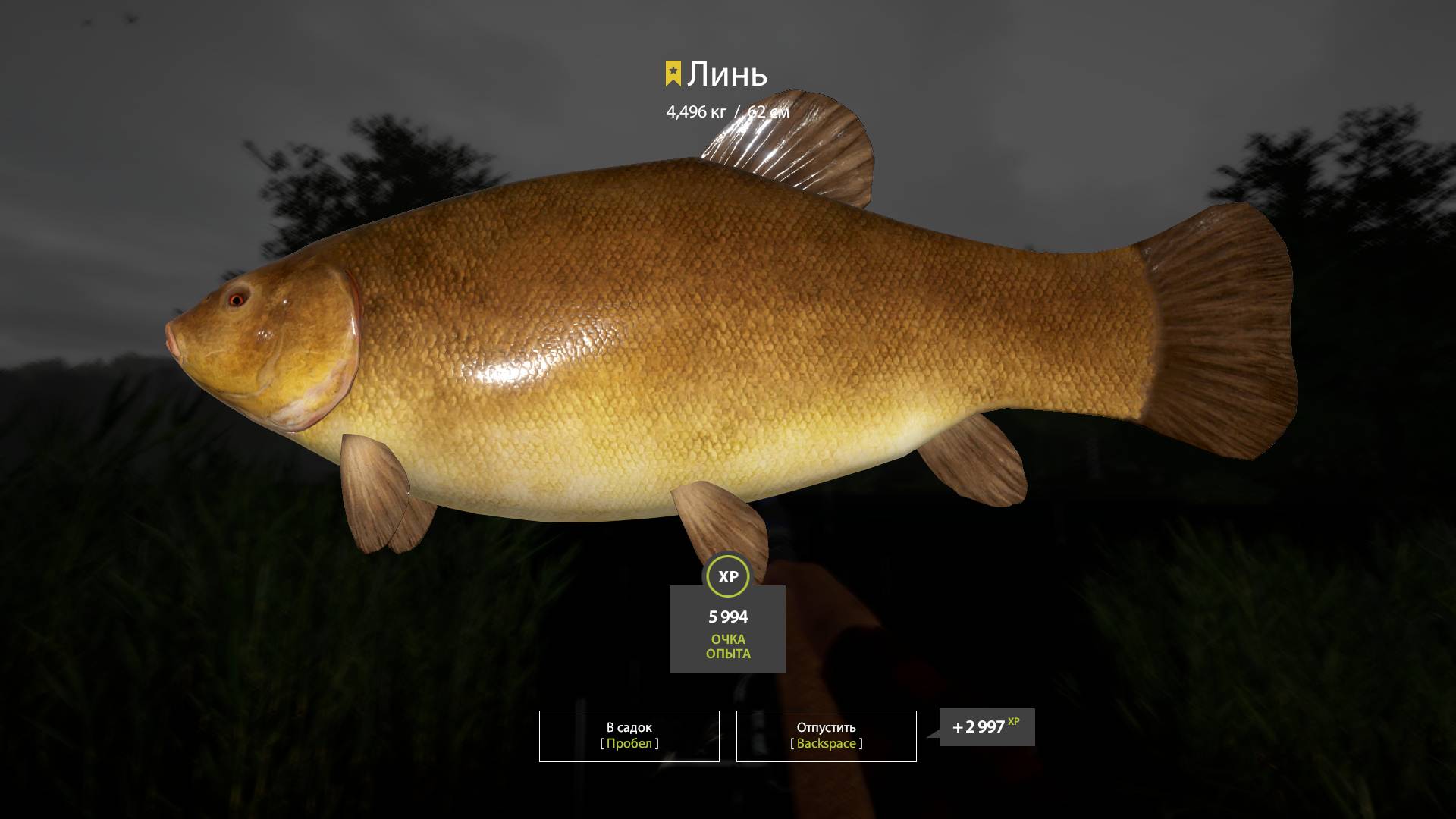 оз.Медное Трофейный Линь точка 61:53 клипса 12