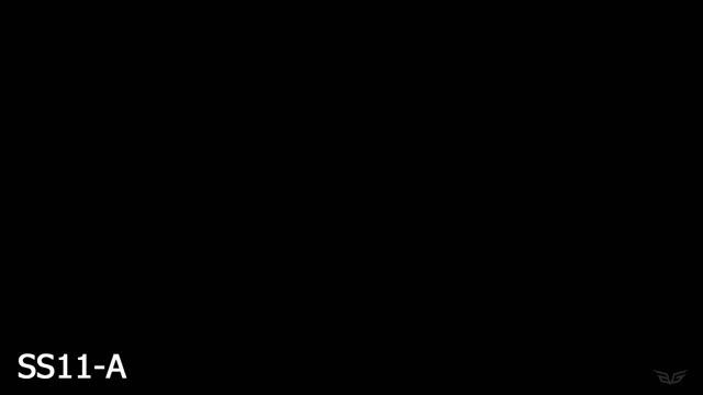AMT SS11-A vs SS11-B