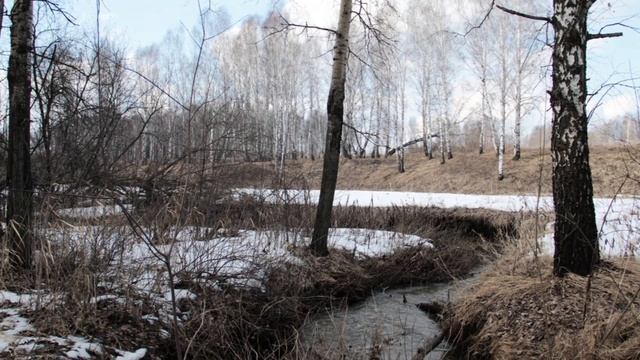 "ВЕШНИЕ ВОДЫ"... (Фото Александра Шадракова (Кемерово) - Поёт Аркадий Северный).mp4