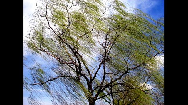 Библия. 63-13. Послание Римлянам апостола Павла (13). Всякая душа да будет покорна высшим властям.