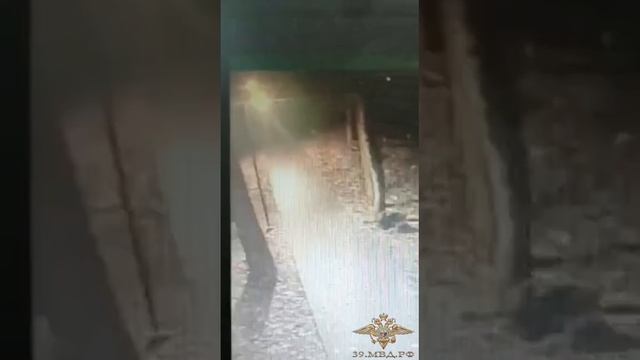 В Светлогорске возбуждено уголовное дело в отношении хулигана, напавшего на женщину около вокзала