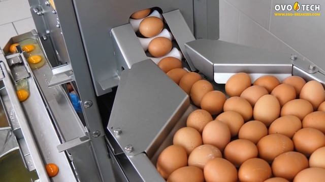 Машина для разбивания яиц RX-0 Ovo Tech