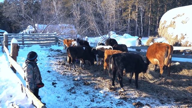 Счастливые семьи. Алексей Корастелёв и Ксения Денисова.mp4