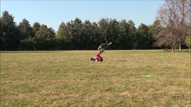 USDDN WF QUALIFIER Ольга и Финик.mp4