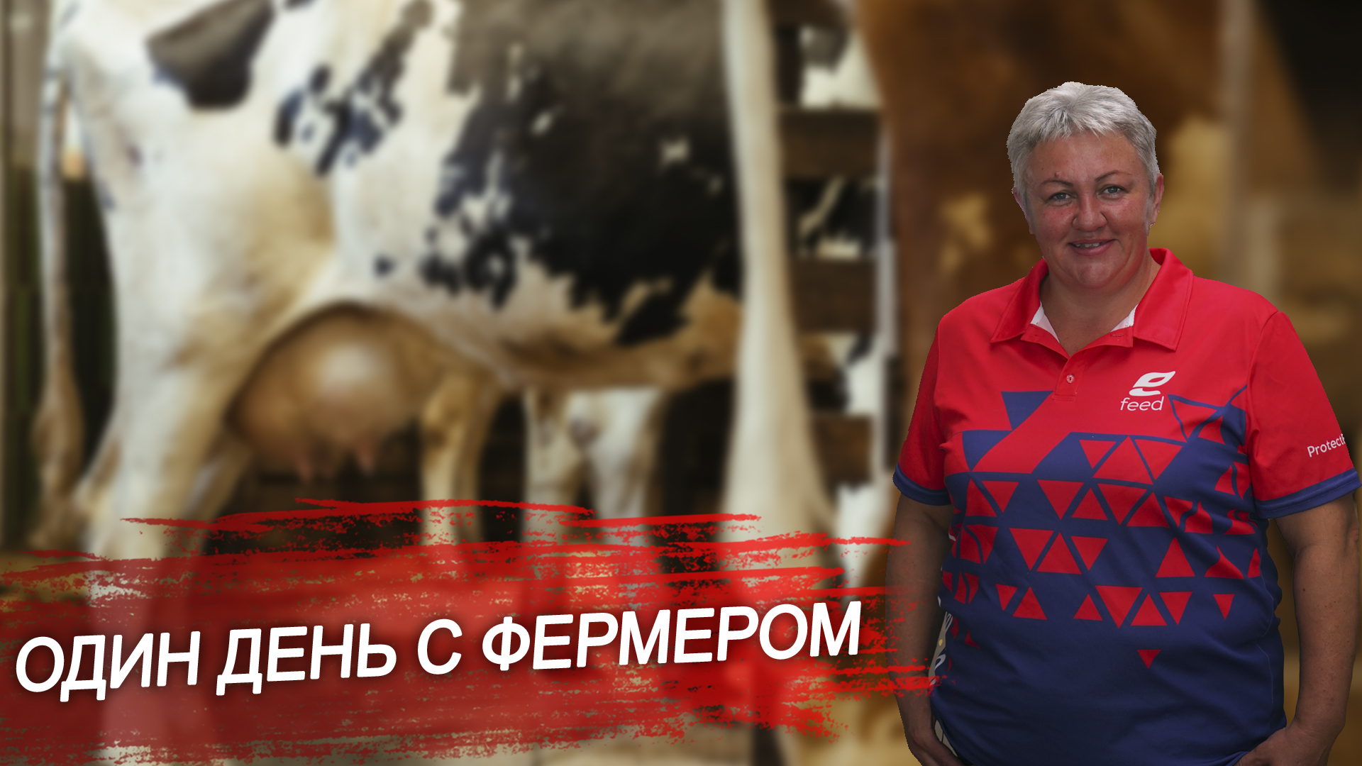 Один день с фермером. Как проходят будни в хозяйстве? В гостях у ветеринара Ангелины Строевой.