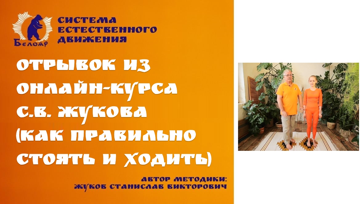 БЕЛОЯР: Отрывок из онлайн-курса С.В. Жукова (Как правильно стоять и ходить)
