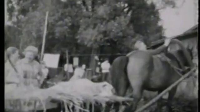 Ппнтилимон